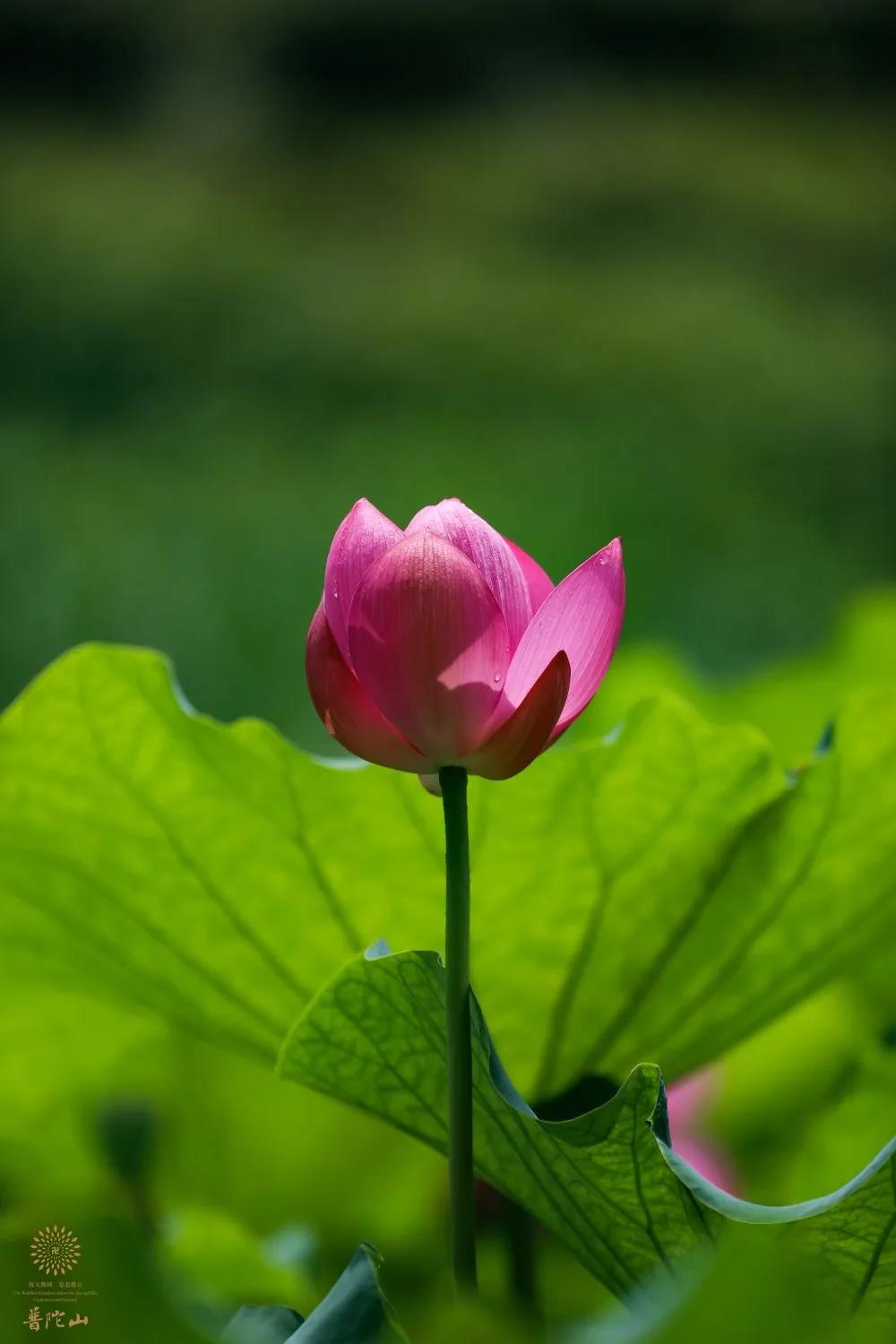 佛教相信天堂和地狱吗